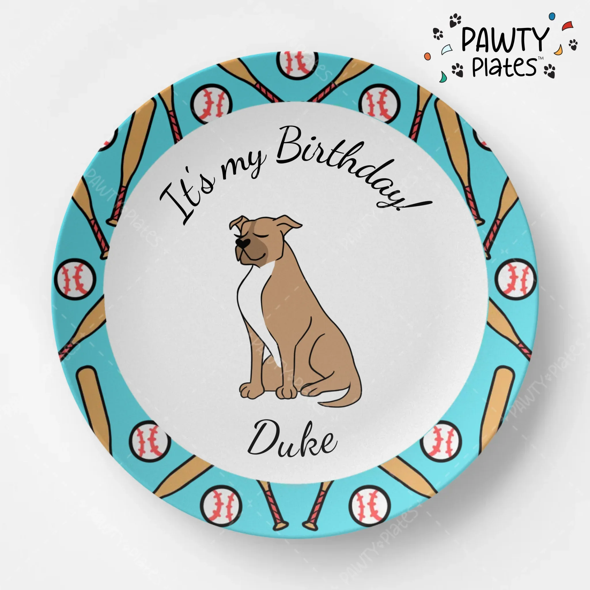 Summer Fun | Personalized Pet Plates