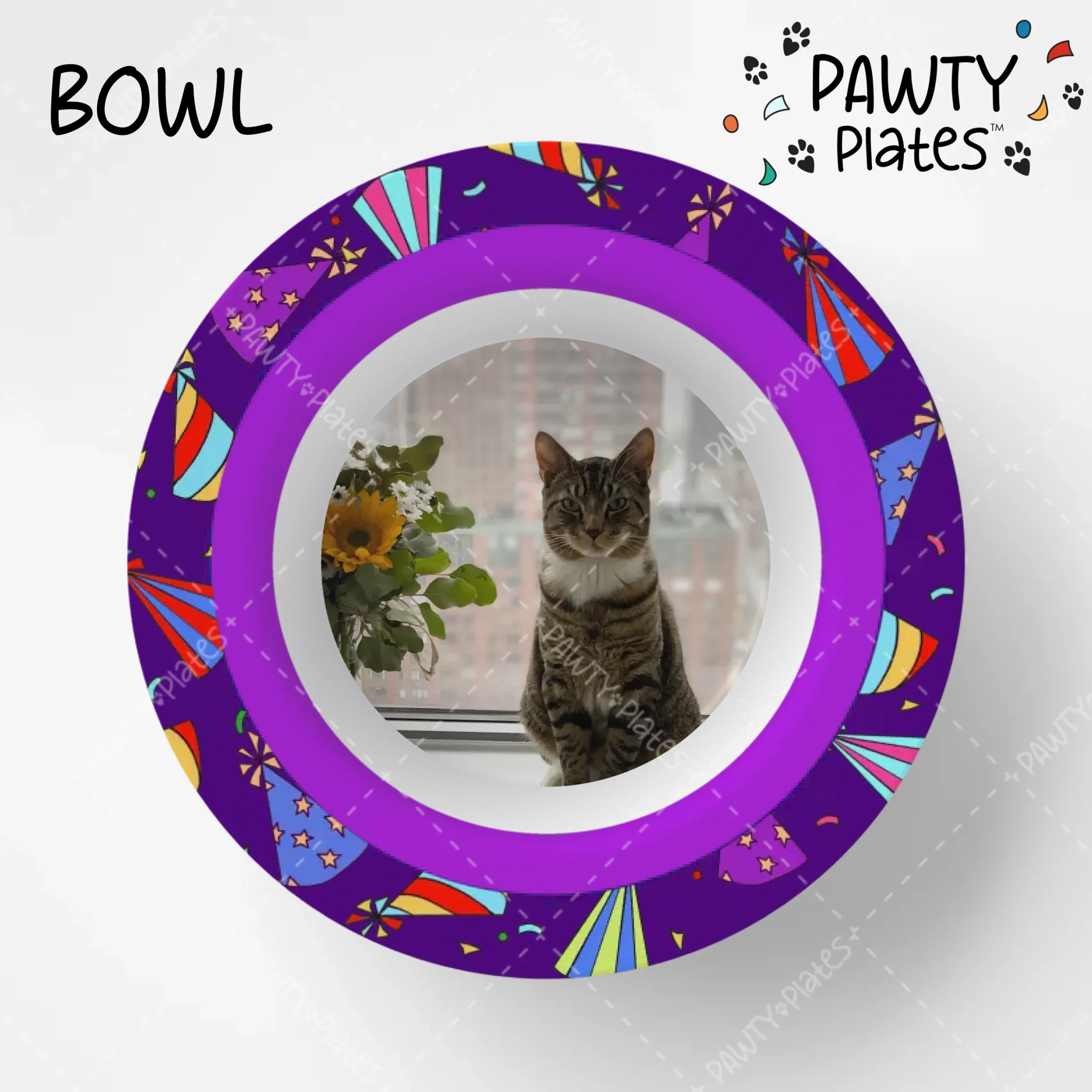 Personalized Cat Plates & Bowls | Pawty Plates