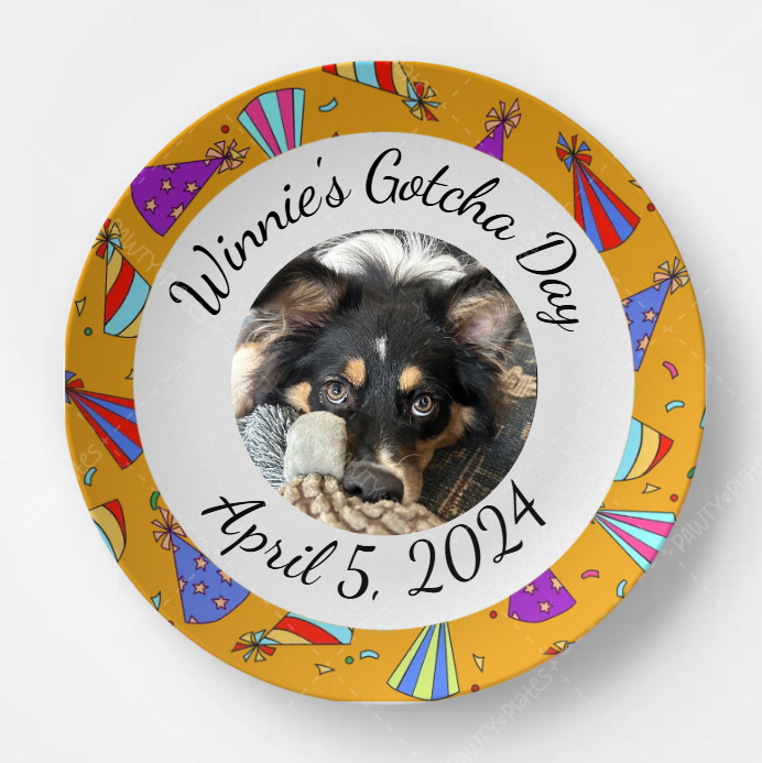 Personalized Pet Plates & Bowls
